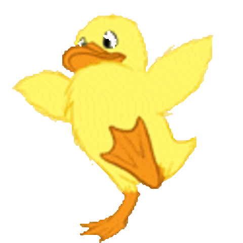 Duck Sticker for iOS & Android | GIPHY