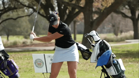 Golf Wave GIF by GreenWave - Find & Share on GIPHY