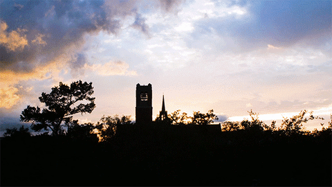 Uf Century Tower GIF by University of Florida - Find & Share on GIPHY