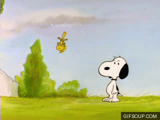 Snoopy GIFs - Find & Share on GIPHY