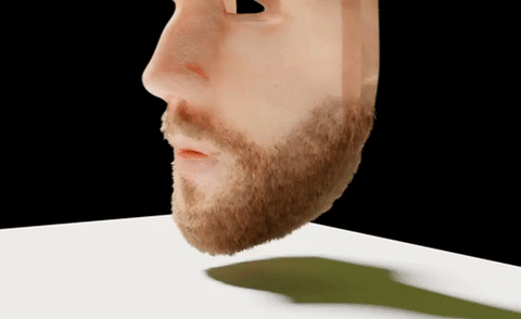 Face flopping fun : blender