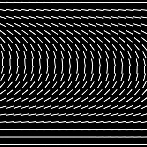 Geometry Lines GIF by partyonmarz - Find & Share on GIPHY