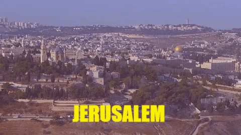 GIF by TV7 ISRAEL NEWS - Find & Share on GIPHY