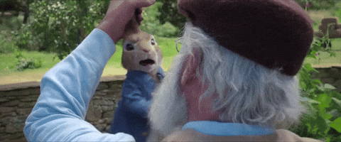 Peter Rabbit GIF - Find & Share on GIPHY