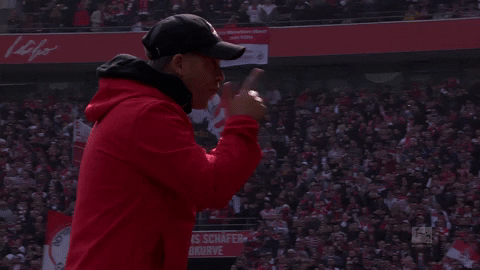 1 Fc Cologne Football GIF by 1. FC Köln - Find & Share on GIPHY
