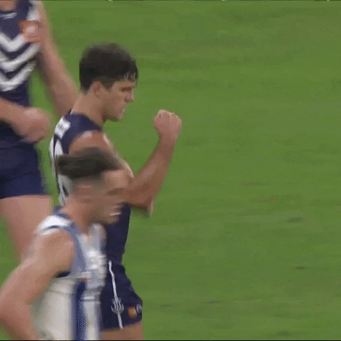 Freo Foreverfreo GIF by Fremantle Dockers - Find & Share on GIPHY