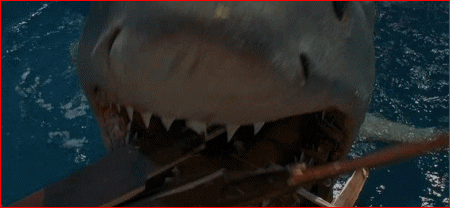 Jaws GIFs - Find & Share on GIPHY