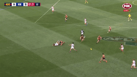 Round 22 Afl GIF by Adelaide Crows - Find & Share on GIPHY