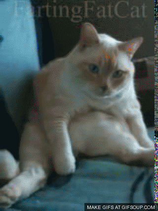 Fart GIF - Find & Share on GIPHY