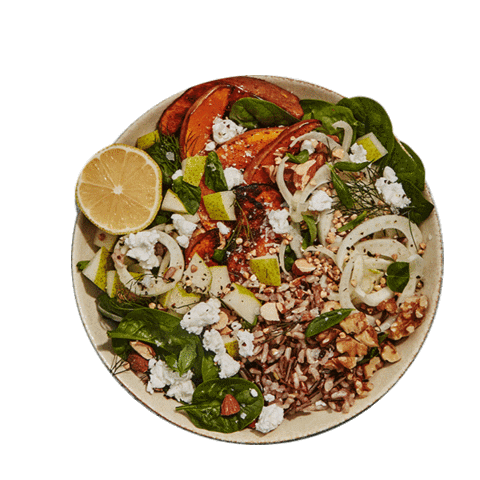 Koginut Koginutsquash Sticker by sweetgreen for iOS & Android | GIPHY