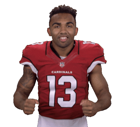 Arizona Cardinals Wide Reciever Sticker by NFL for iOS & Android | GIPHY
