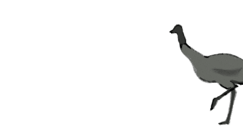 Bird Running Sticker by Megan for iOS & Android | GIPHY