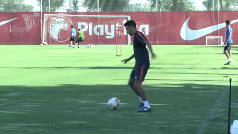 La Liga Soccer GIF by Sevilla Fútbol Club - Find & Share on GIPHY