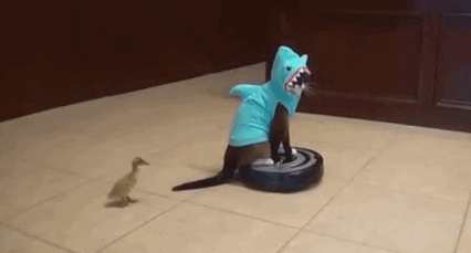 Fun GIF - Find & Share on GIPHY