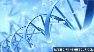 Dna GIF - Find & Share on GIPHY
