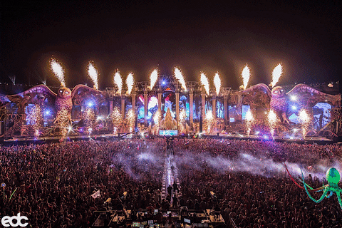 - Find & Share on GIPHY