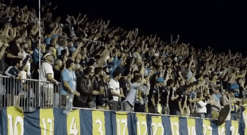 Fans Cheering GIF by Philadelphia Union - Find & Share on GIPHY