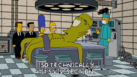 Episode 5 GIF by The Simpsons - Find & Share on GIPHY