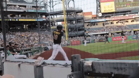 Big Cat Pft GIF by Barstool Sports - Find & Share on GIPHY