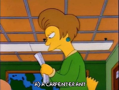 Pop Quiz GIFs - Find & Share on GIPHY