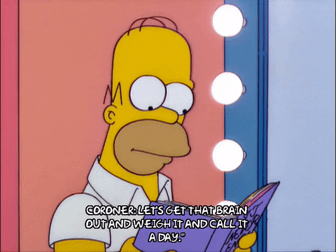 Homer Simpson Book GIF - Find & Share on GIPHY