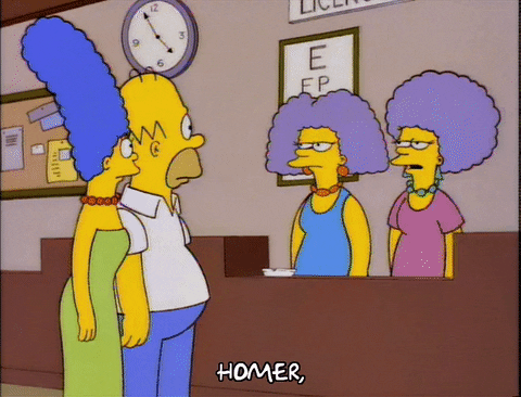 Homer Simpson Sisters GIF - Find & Share on GIPHY