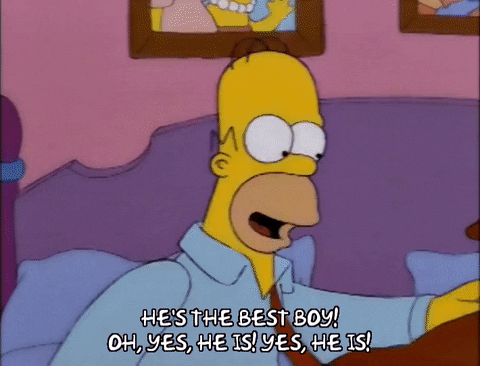 Homer Simpson Episode 25 GIF - Find & Share on GIPHY