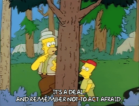 Season 1 GIF - Find & Share on GIPHY