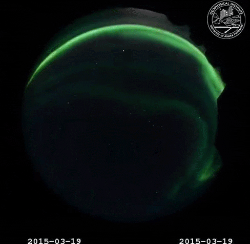 Swirling Northern Lights GIF by University of Alaska Fairbanks - Find ...