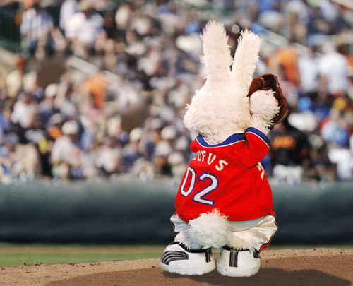 Baseball Throwing GIF by Zackary Rabbit - Find & Share on GIPHY