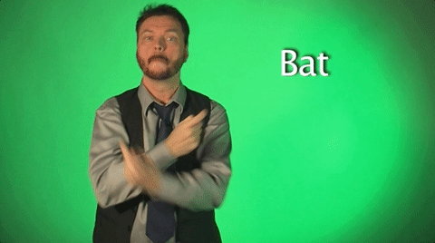 Sign Language Bat GIF by Sign with Robert - Find & Share on GIPHY