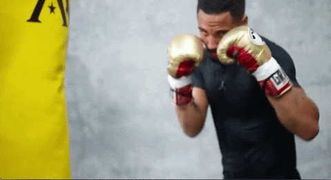Boxing Boxer GIF by Andre Ward - Find & Share on GIPHY