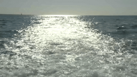 Water Waves GIF by South Park - Find & Share on GIPHY