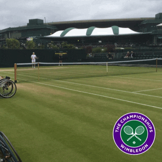 Tennis GIF by Wimbledon - Find & Share on GIPHY