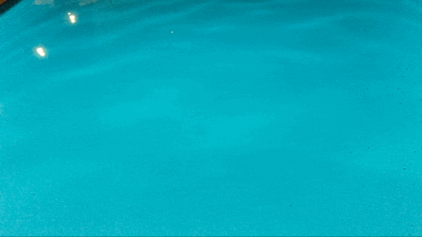 Good Morning Hello GIF by cloudy - Find & Share on GIPHY