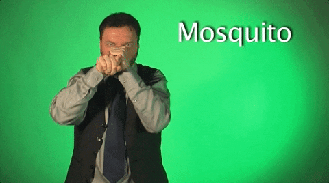 Sign Language Mosquito GIF by Sign with Robert - Find & Share on GIPHY