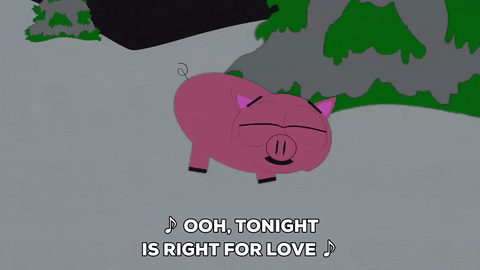 Pig GIF by South Park - Find & Share on GIPHY