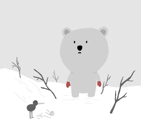 Snow Baby Bear GIF by Julien Piau - Find & Share on GIPHY
