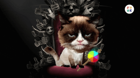 Cat Smiling Gif