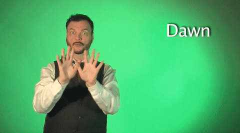 Sign Language Asl GIF by Sign with Robert - Find & Share on GIPHY