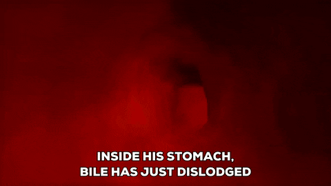 Stomach Intestines GIF by South Park - Find & Share on GIPHY