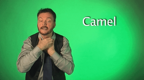 Sign Language Camel GIF by Sign with Robert - Find & Share on GIPHY