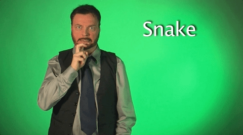 Sign Language Snake GIF by Sign with Robert - Find & Share on GIPHY