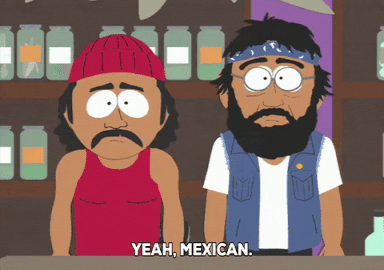 Cheech And Chong Store GIF by South Park - Find & Share on GIPHY