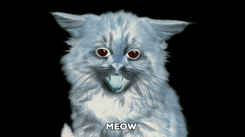 Cat Disturbing GIF by South Park - Find & Share on GIPHY