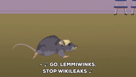 Mouse Running GIF by South Park - Find & Share on GIPHY