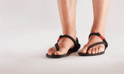 Maku Sandles GIF by Product Hunt - Find & Share on GIPHY