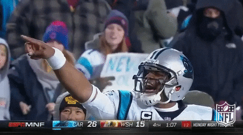 Celebrating Carolina Panthers GIF by NFL - Find & Share on GIPHY