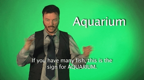 Sign Language Aquarium GIF by Sign with Robert - Find & Share on GIPHY
