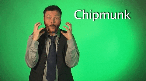 Sign Language Chipmunk GIF by Sign with Robert - Find & Share on GIPHY